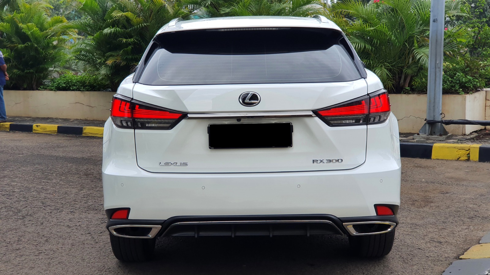 2020 Lexus RX Series 300 F Sport di DKI Jakarta ID366586